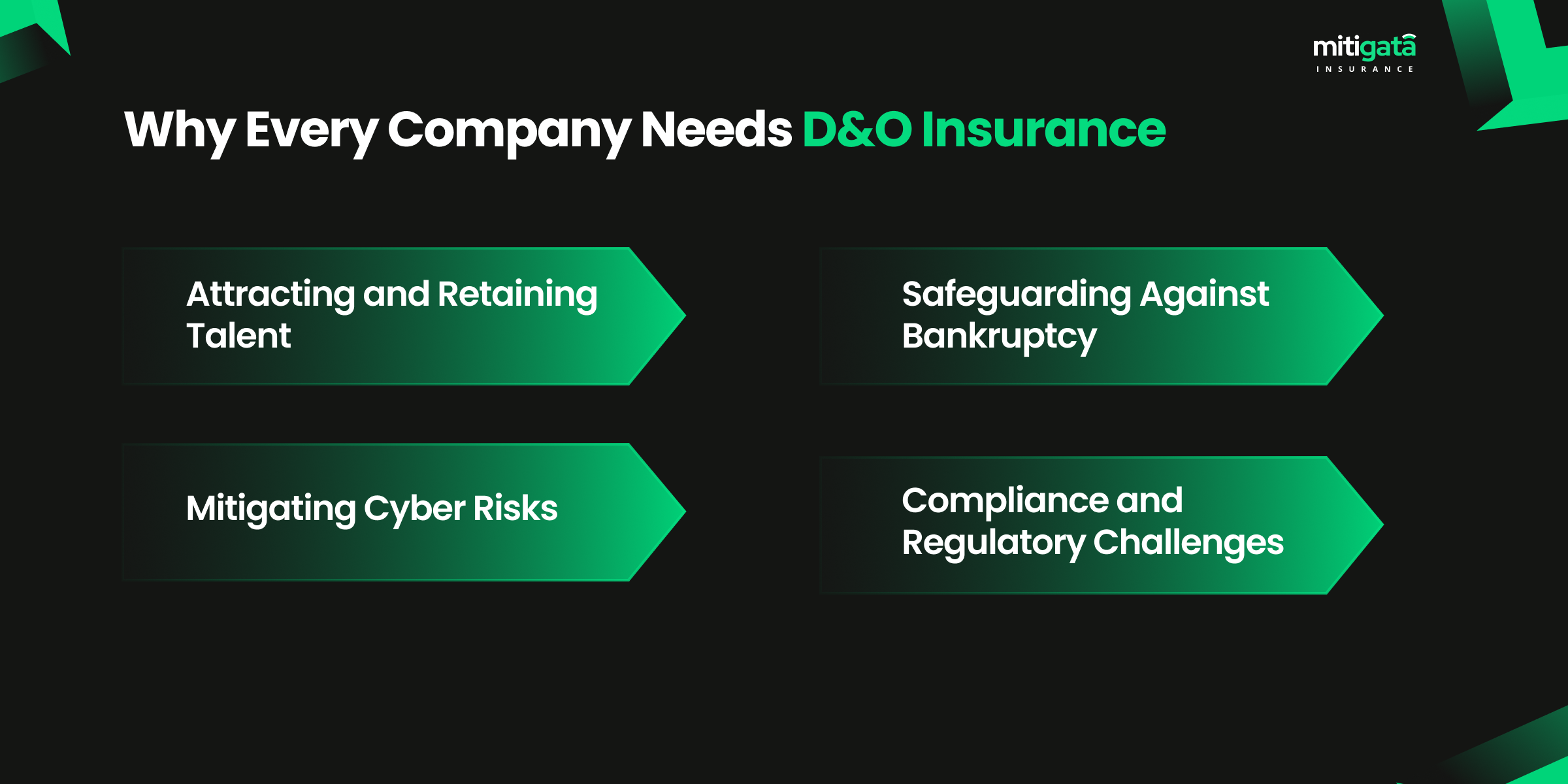 Why Every Company Needs D&O Insurance - Mitigata Blogs